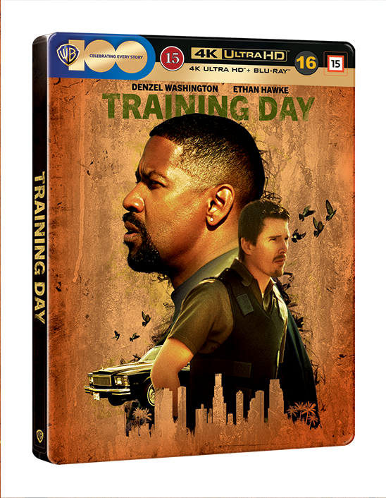 Training Day 4K